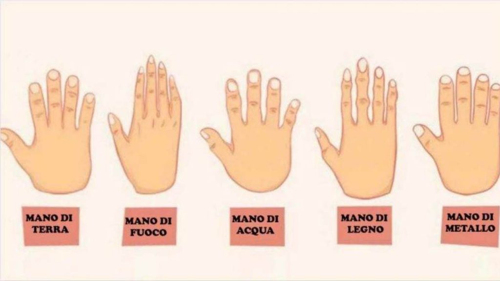 Scopri che personalità hai dalla forma della tua mano | Il test di ...